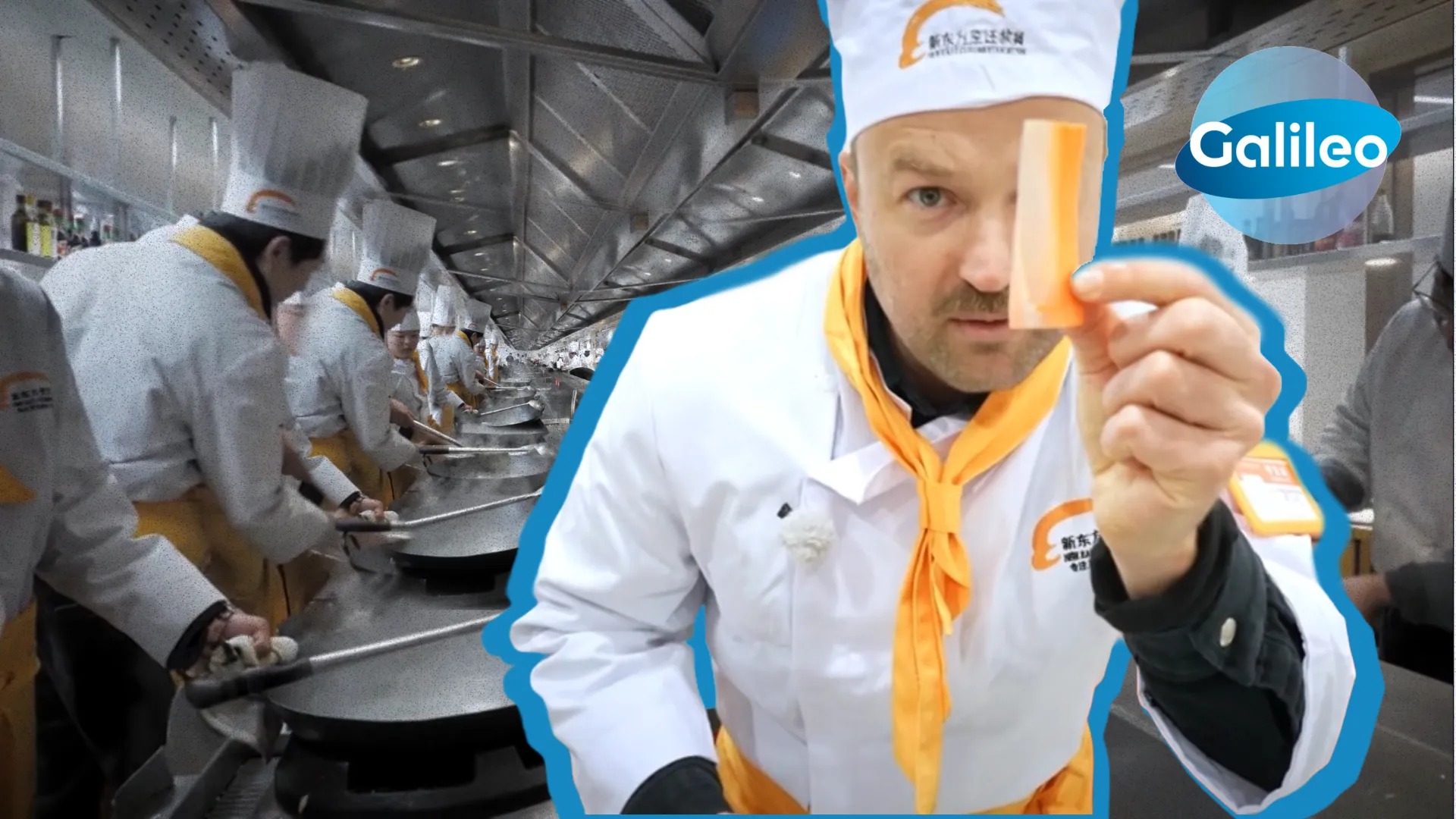 Kugelfisch und Giftpilze: Youtuberin Kim Caramella bei "Galileo"